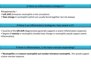 Interpretation of Canine Leukocyte Responses | PPTX