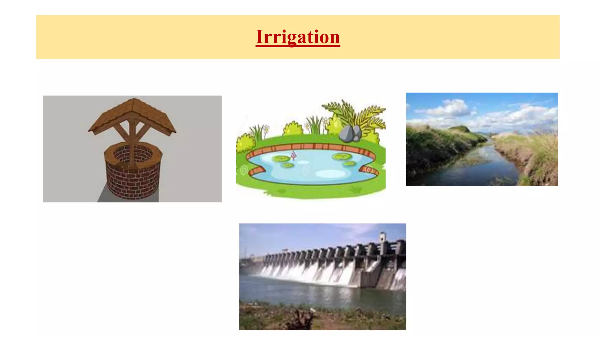 Traditional methods of irrigation | PPTX