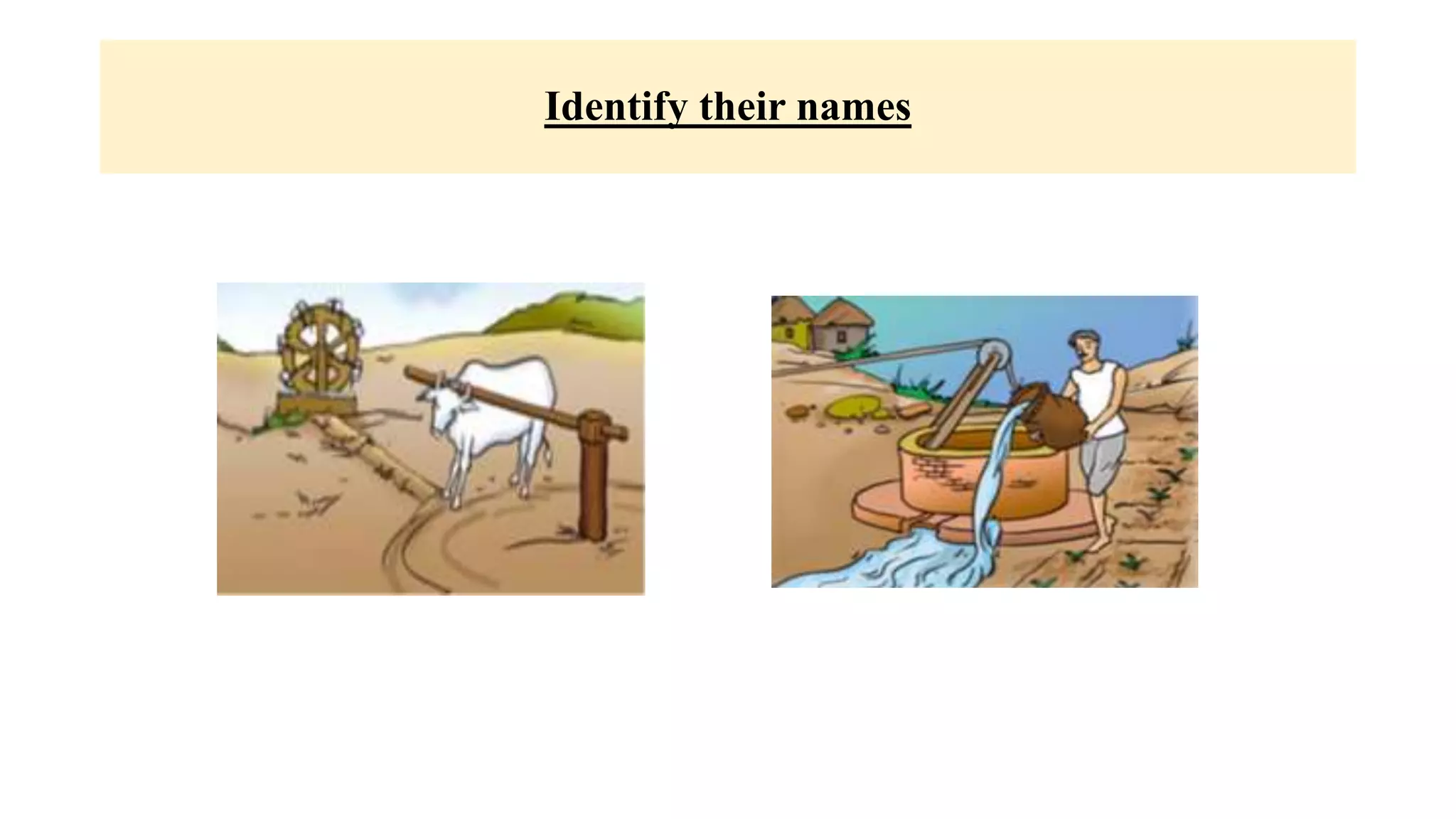 Traditional methods of irrigation | PPTX