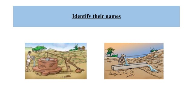 Traditional methods of irrigation | PPTX | Agriculture | Industries