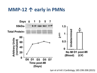 Cardiac Inflammation and Repair Following Myocardial Infarction | PDF