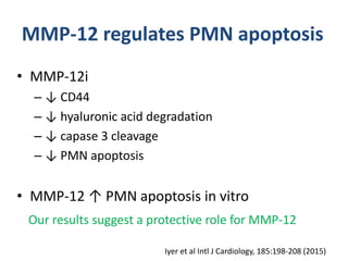 Cardiac Inflammation and Repair Following Myocardial Infarction | PDF