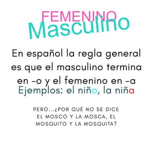 Slideshare masculino y femenino by Thespanishlessons.com