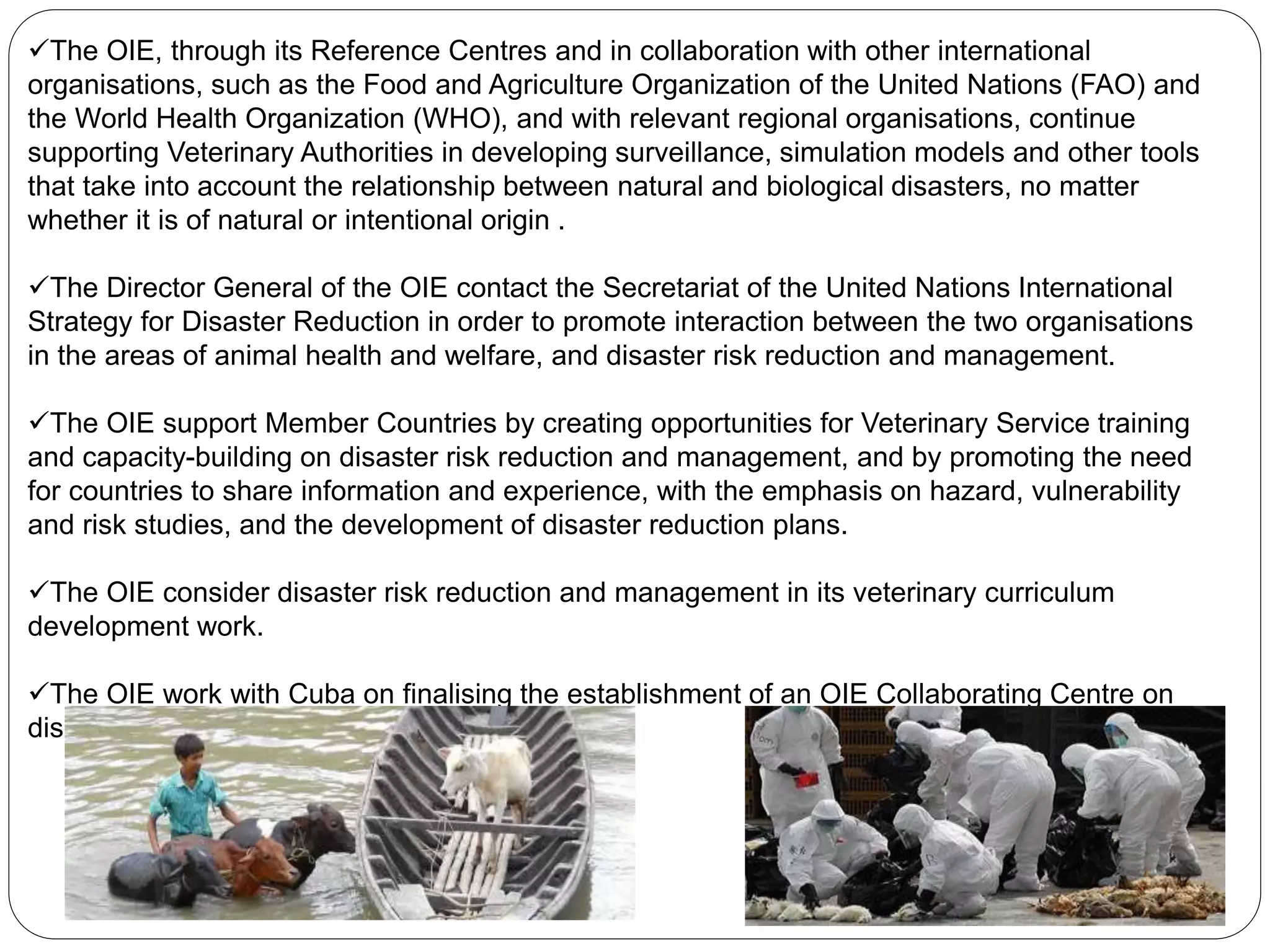 Regional and International organizations in Disaster Management | PPTX