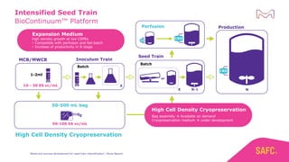 Media and Process Development for Seed Train Intensification | PDF