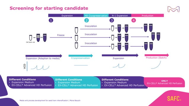 Media and Process Development for Seed Train Intensification