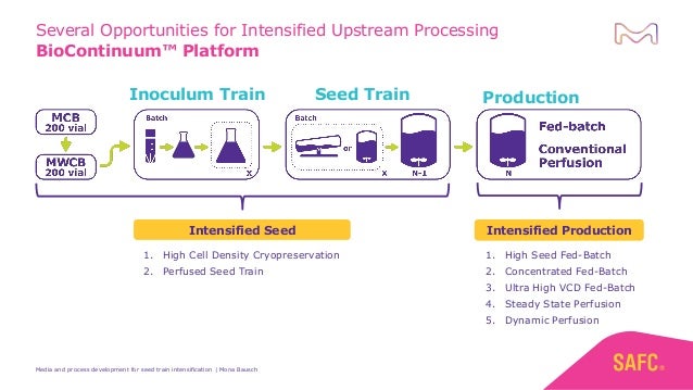 Media and Process Development for Seed Train Intensification
