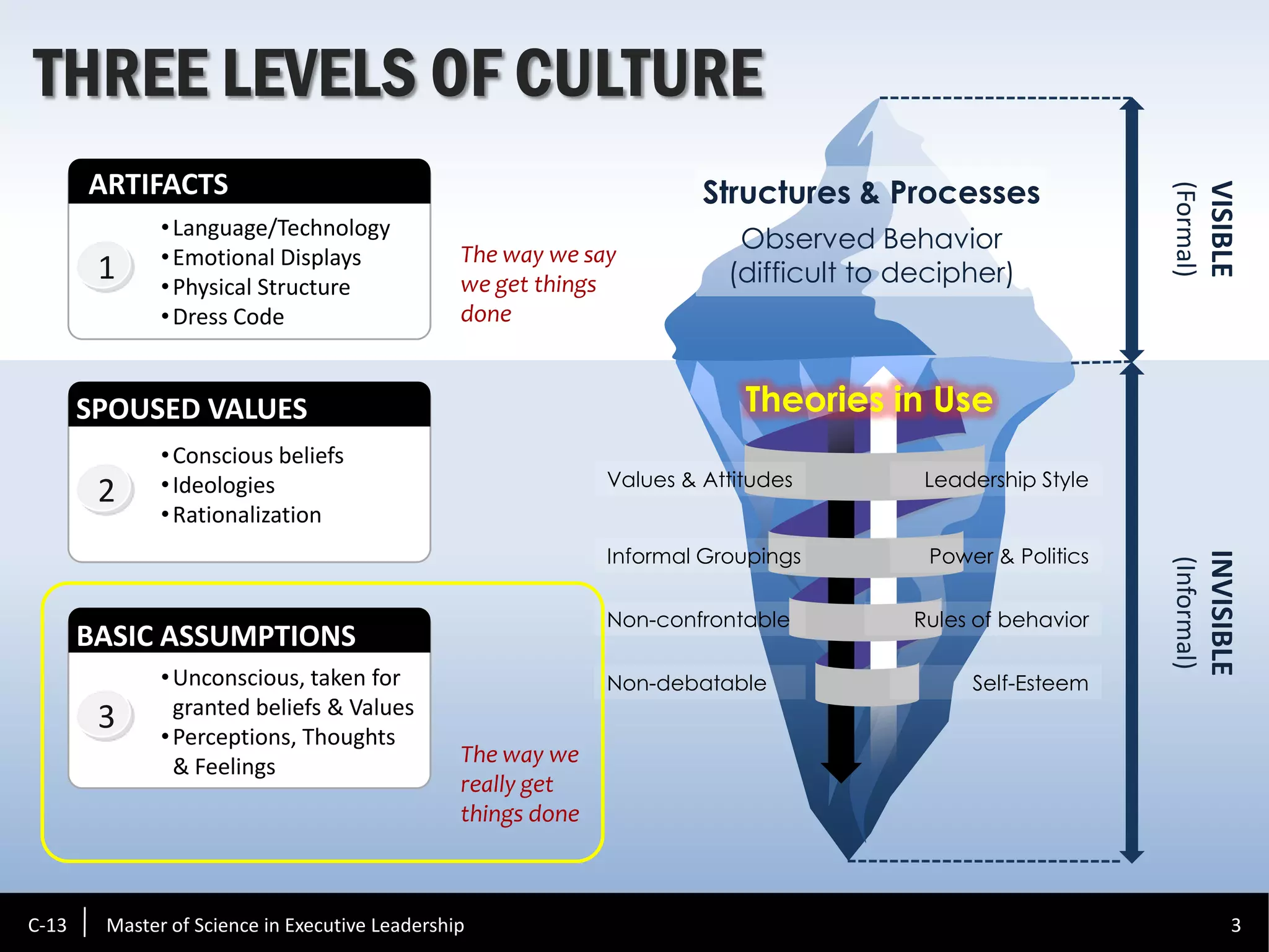 Organizational Culture & External Adaptation Issues | PPTX