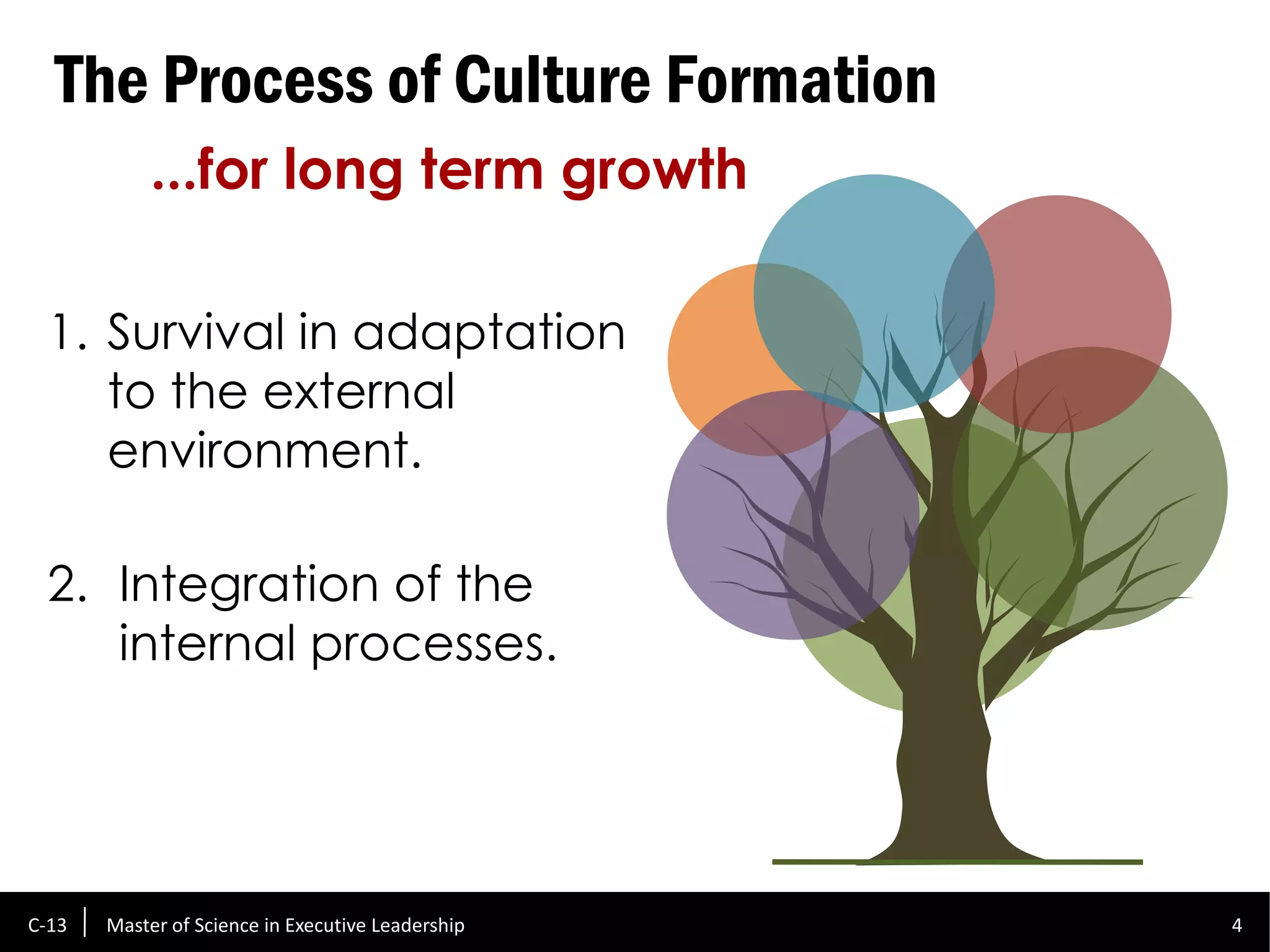 Organizational Culture & External Adaptation Issues | PPTX