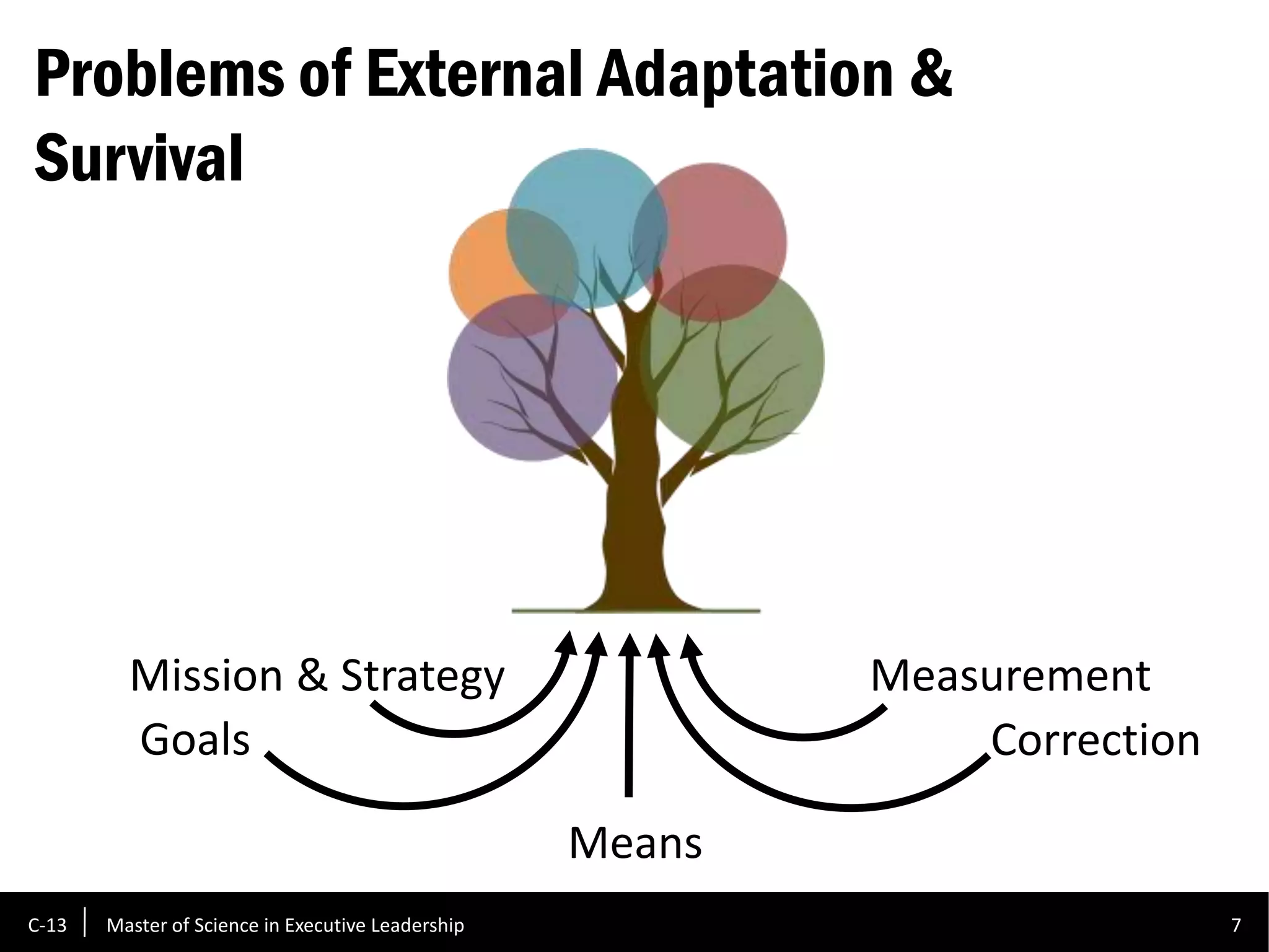 Organizational Culture & External Adaptation Issues | PPTX