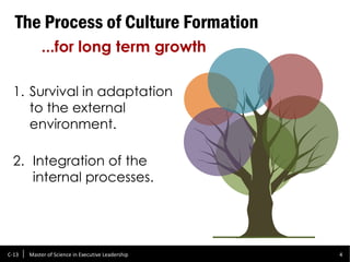 Organizational Culture & External Adaptation Issues | PPTX