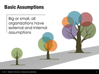 Organizational Culture & External Adaptation Issues | PPTX