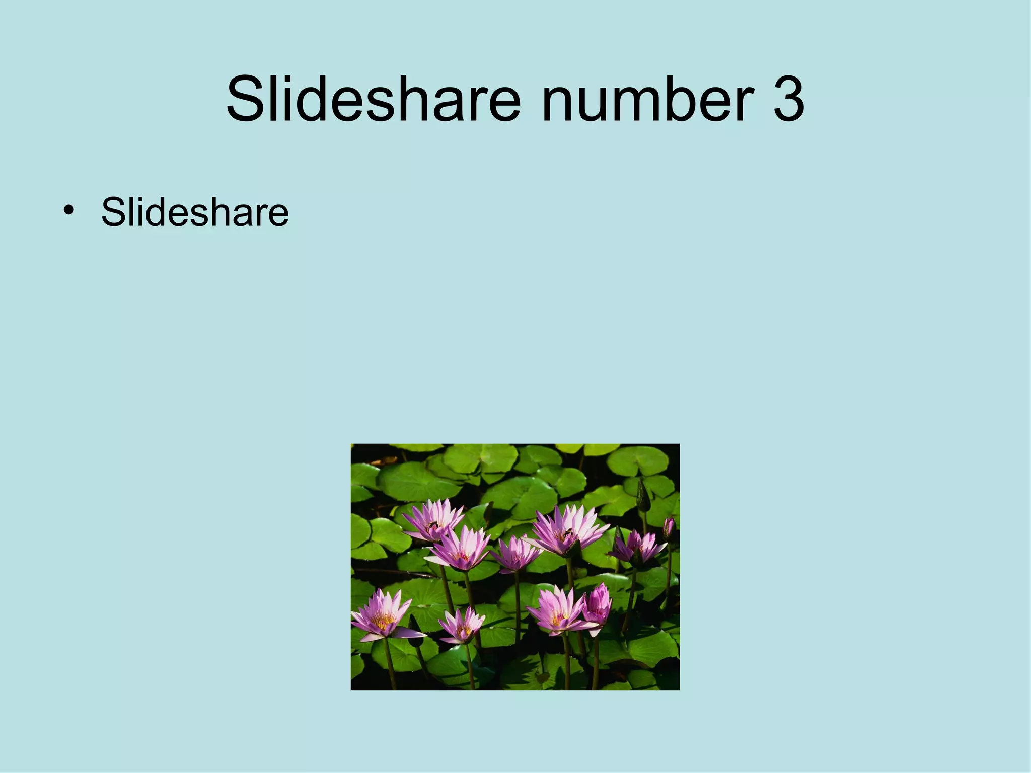 Slideshare Number 1 | PPT