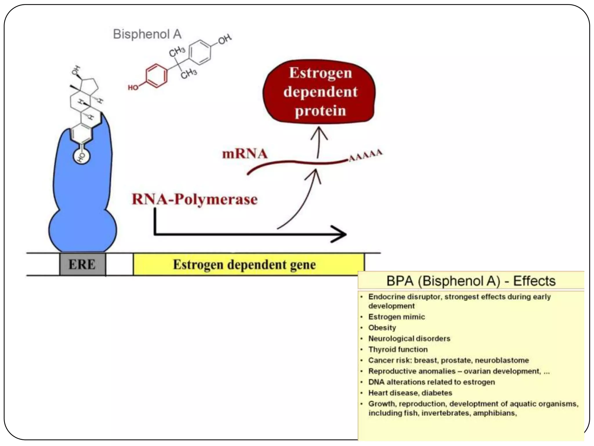 Slide share packaging trends 2013 roya khalil | PPTX