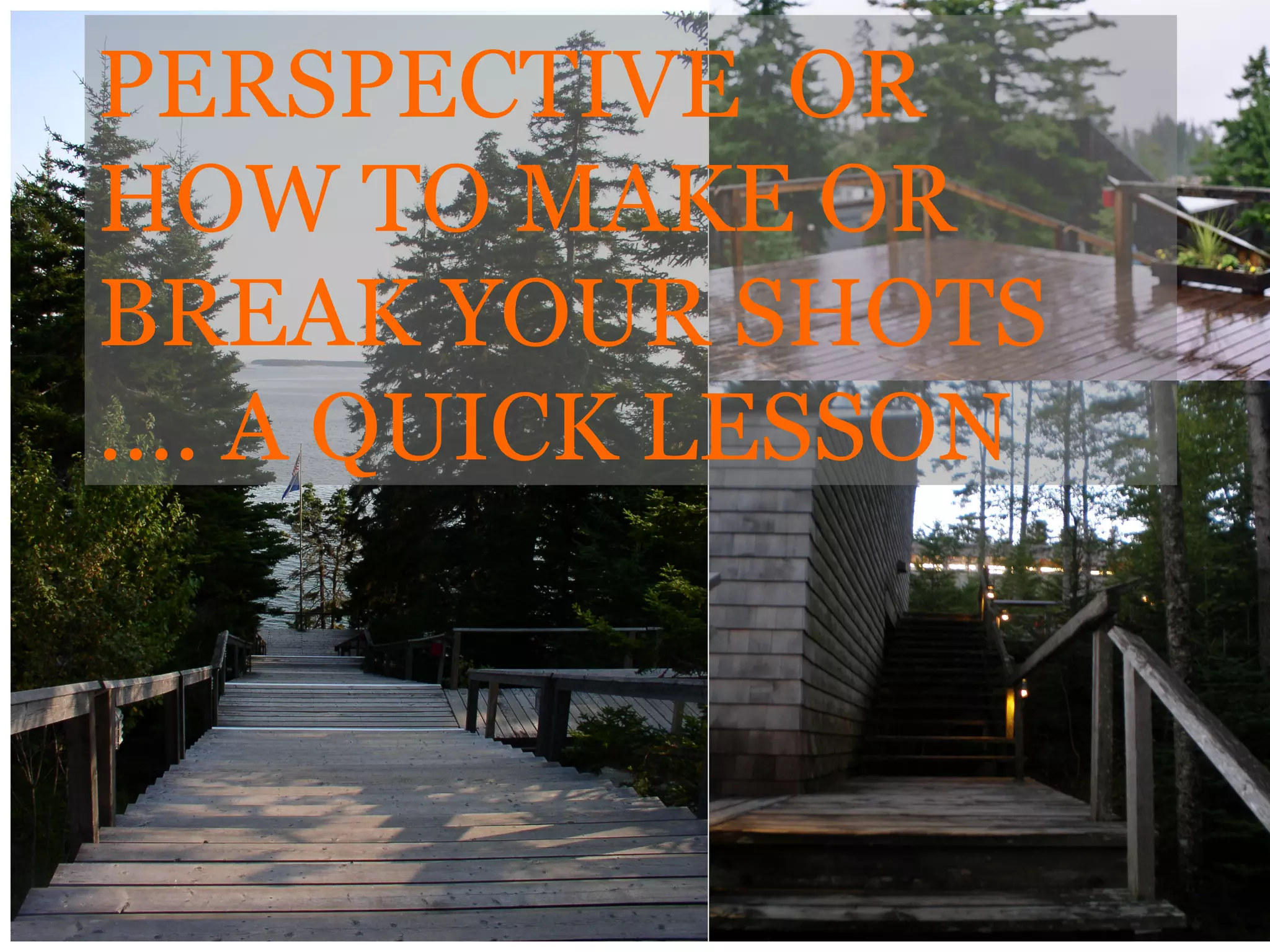 Perspective Presentation | PPT