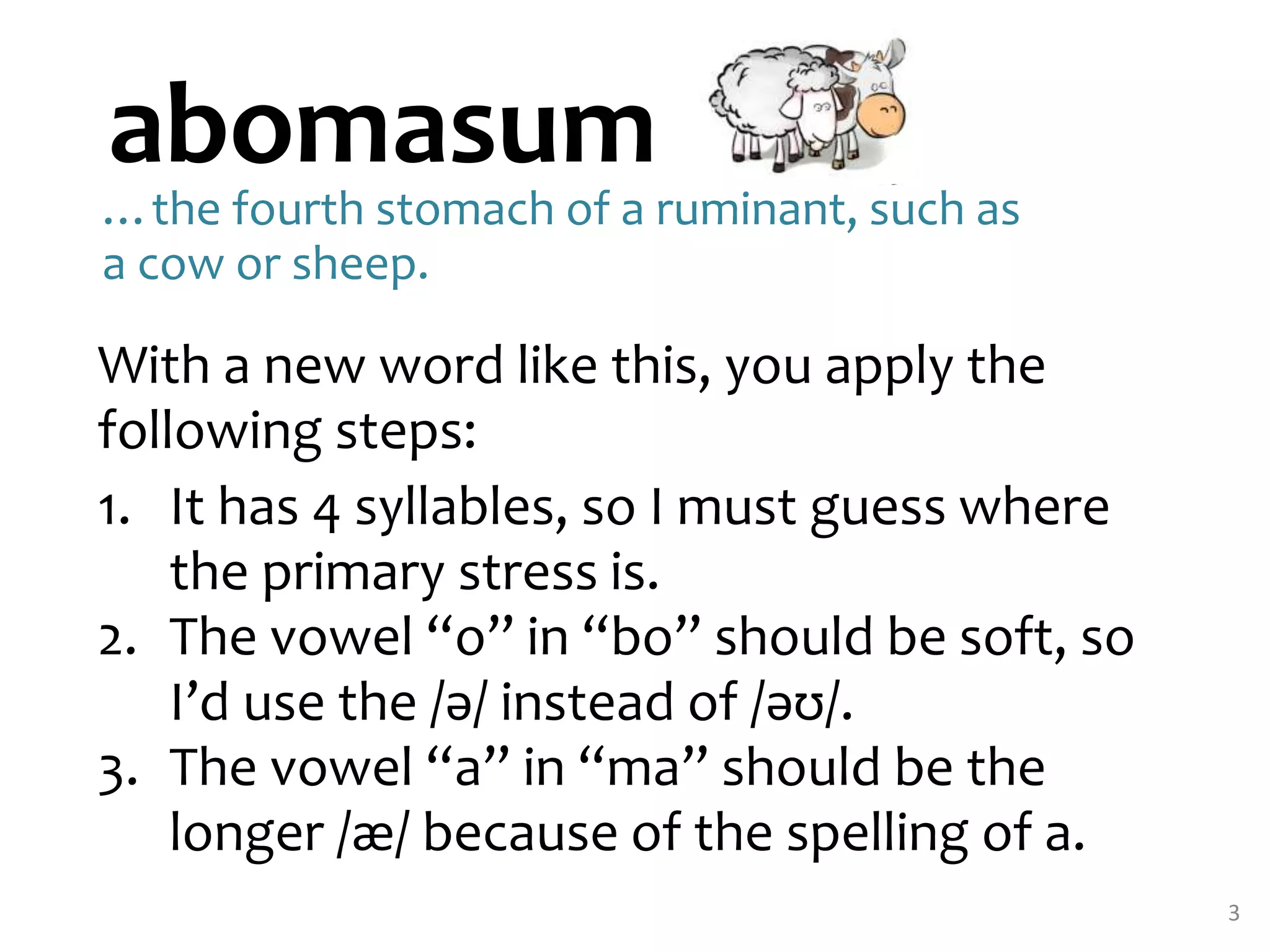 The Fascinating World of Phonetics Llesson 17 | PPT