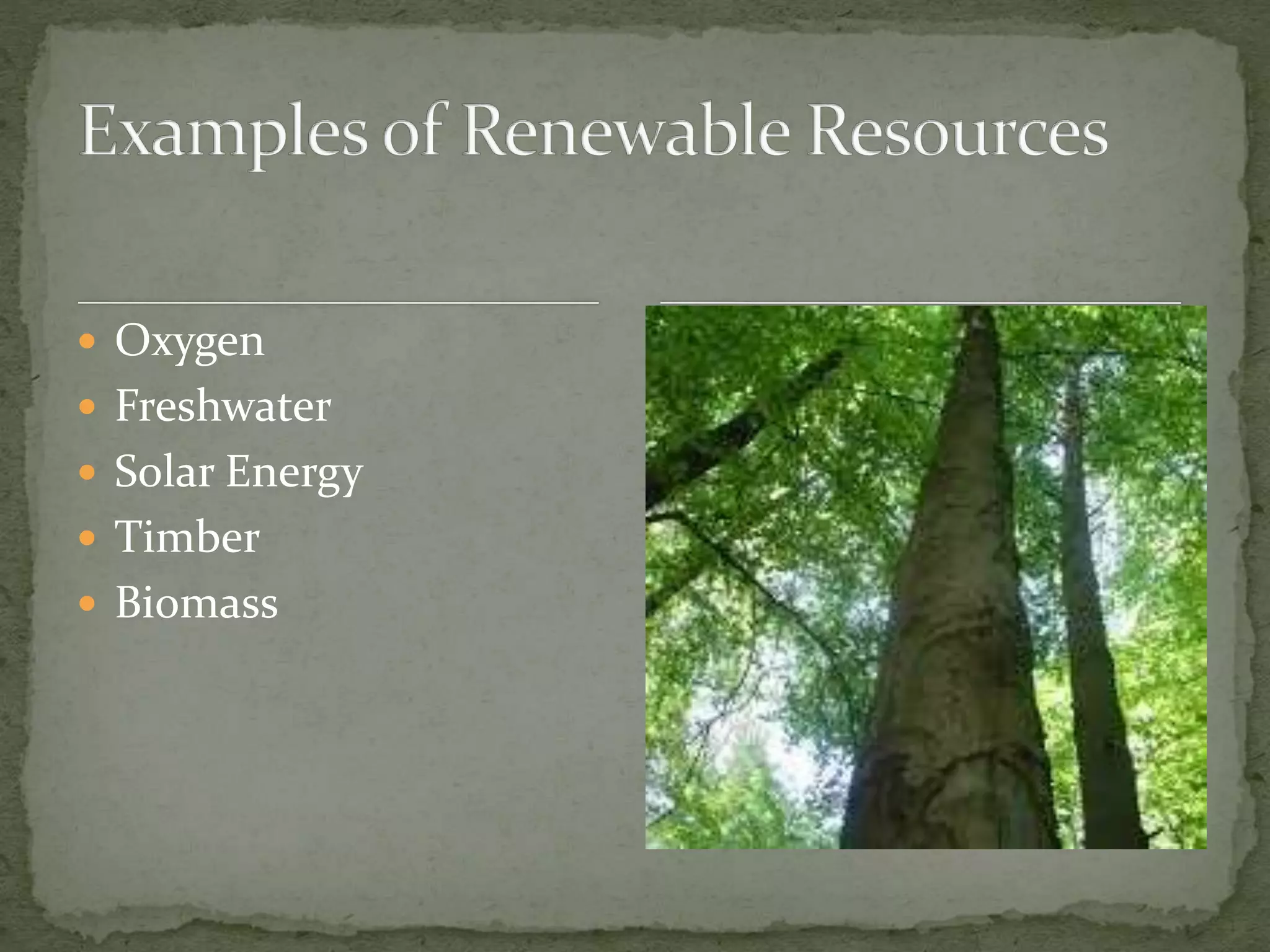 Natural Resources Presentation | PPTX