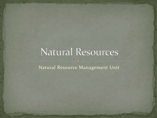 Natural Resources Presentation | PPT