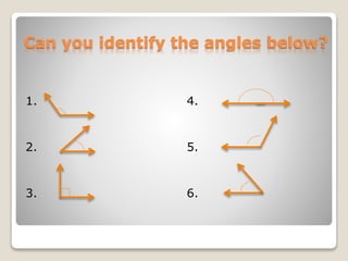 Angles: Naming, Types, and How to Measure Them | PPTX | Geography | Science