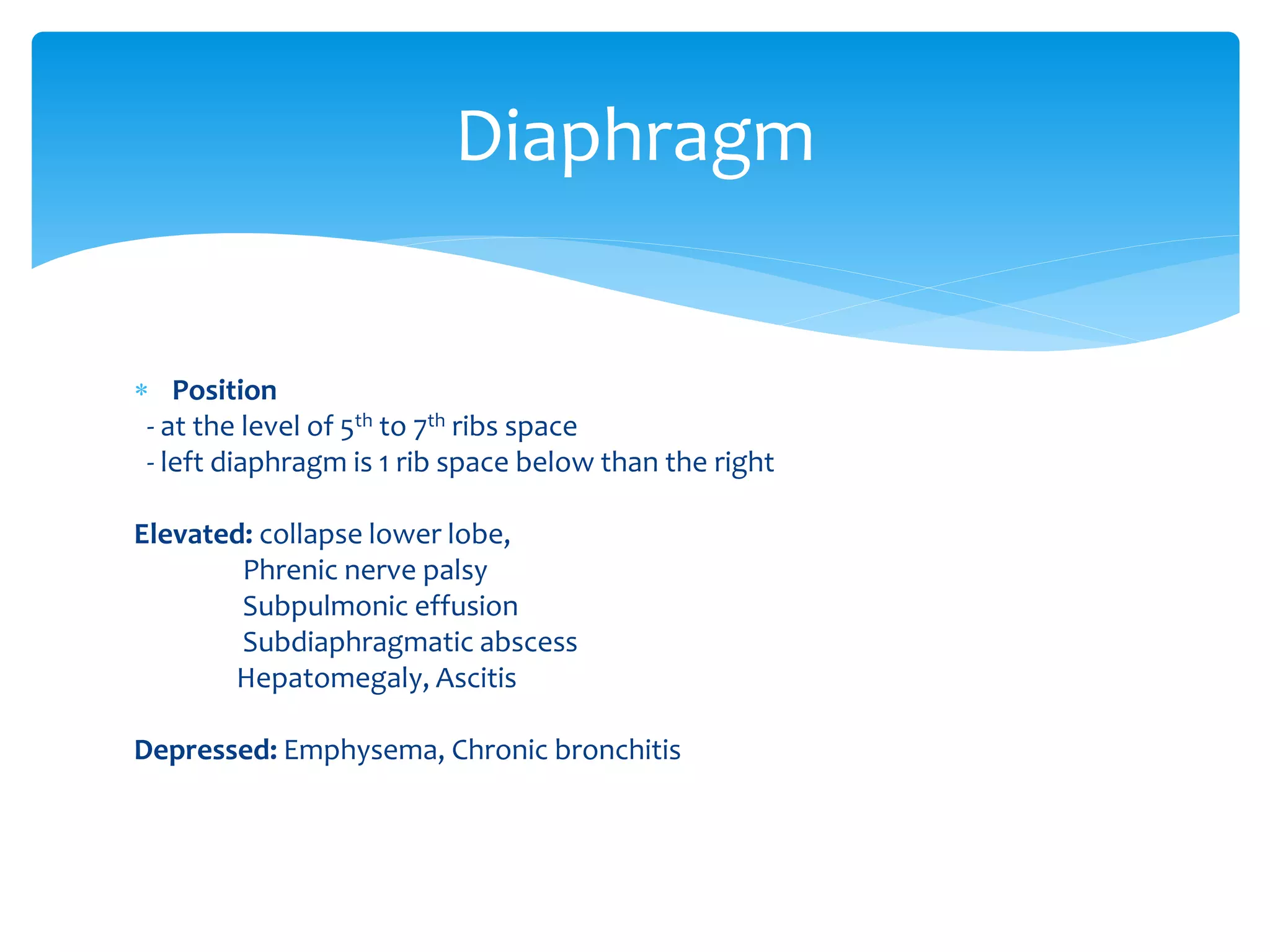 Viewing chest x ray | PPTX