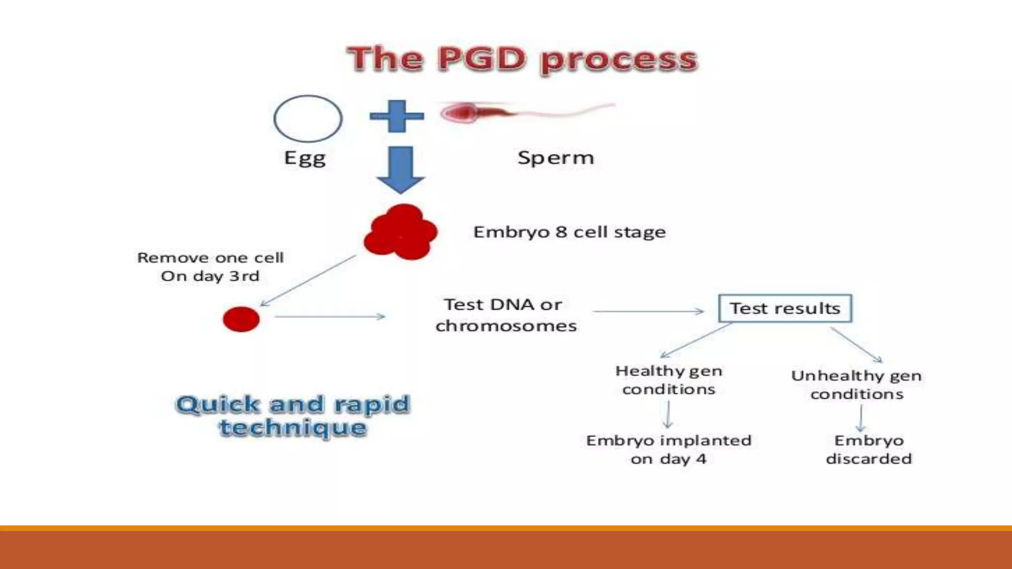 Presentation on Preimplantation Genetic Diagnosis (PGD) | PPTX
