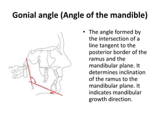 Muscle Strength in Orthodontic Diagnosis | PPT