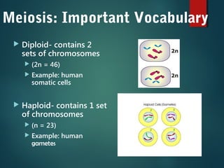 Slideshare presantation | PPT