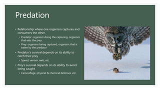 Symbiosis | PPTX | Biological Sciences | Science