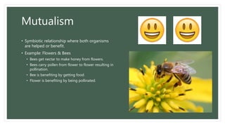 Symbiosis Updated 2 | PPT
