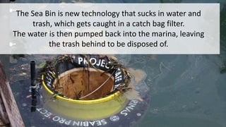 Plastic Pollution Hawaii | PPTX