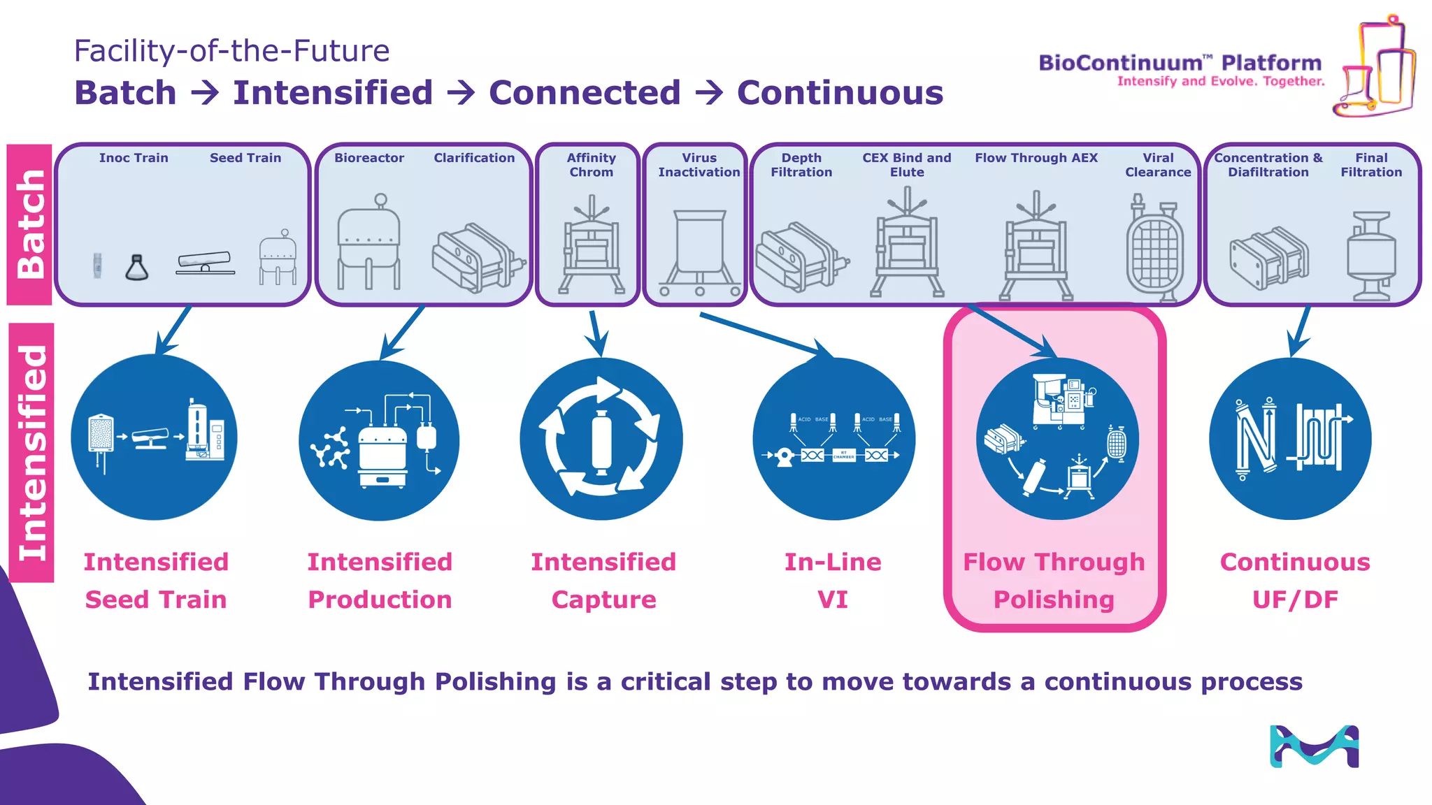 Process Development for Continuous Flow-Through Polishing Purification for mAb Processing | PDF