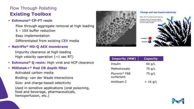 Process Development for Continuous Flow-Through Polishing Purification ...