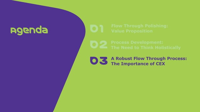 Process Development for Continuous Flow-Through Polishing Purification ...