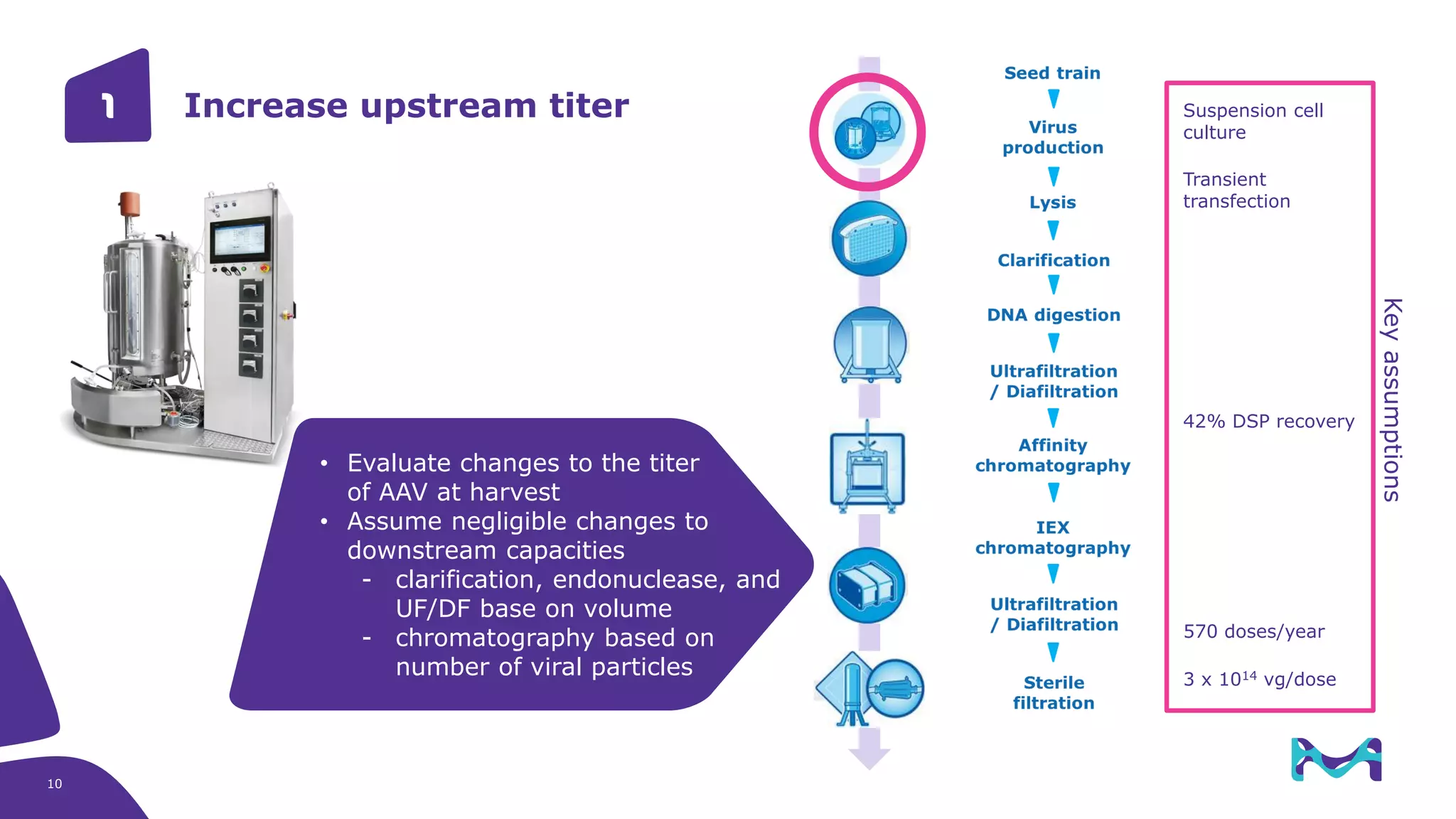 Process development guidance for AAV and lentivirus manufacturing based ...