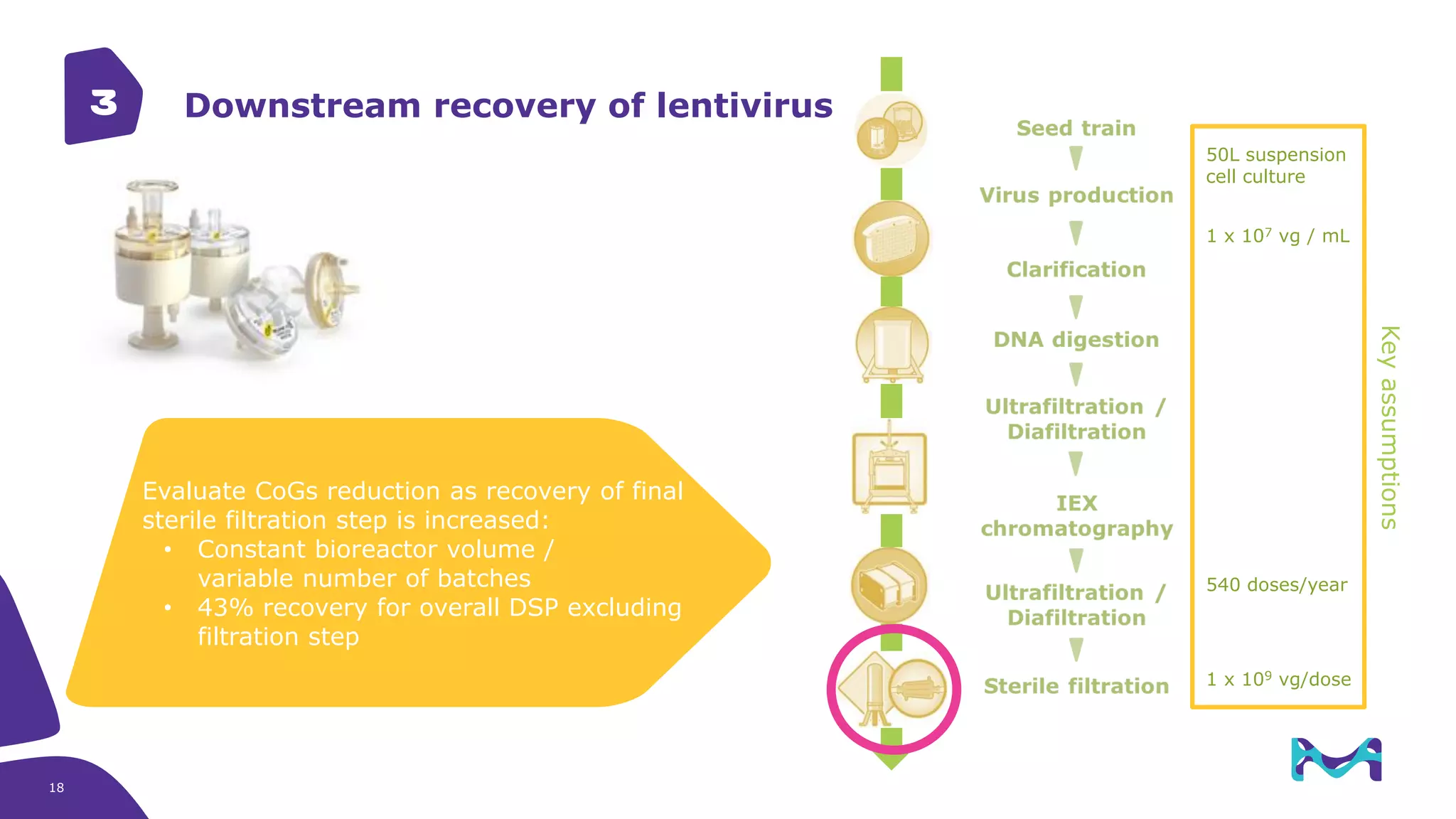 Process development guidance for AAV and lentivirus manufacturing based ...