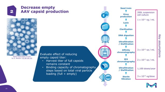 Process development guidance for AAV and lentivirus manufacturing based on cost modeling | PDF