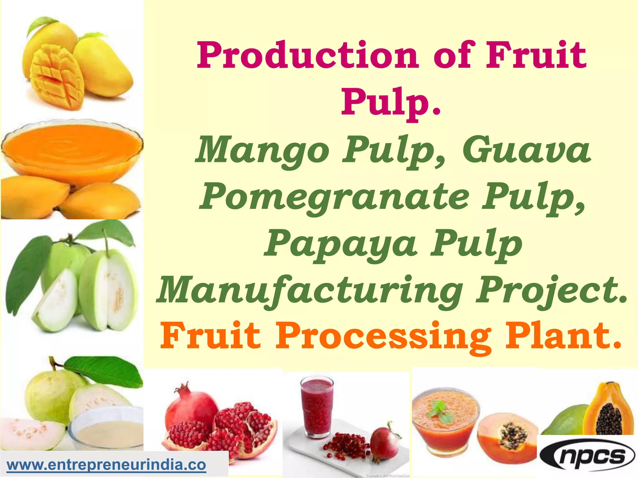 Production of Fruit Pulp. Mango Pulp, Guava Pulp, Pomegranate Pulp, Papaya Pulp Manufacturing ...