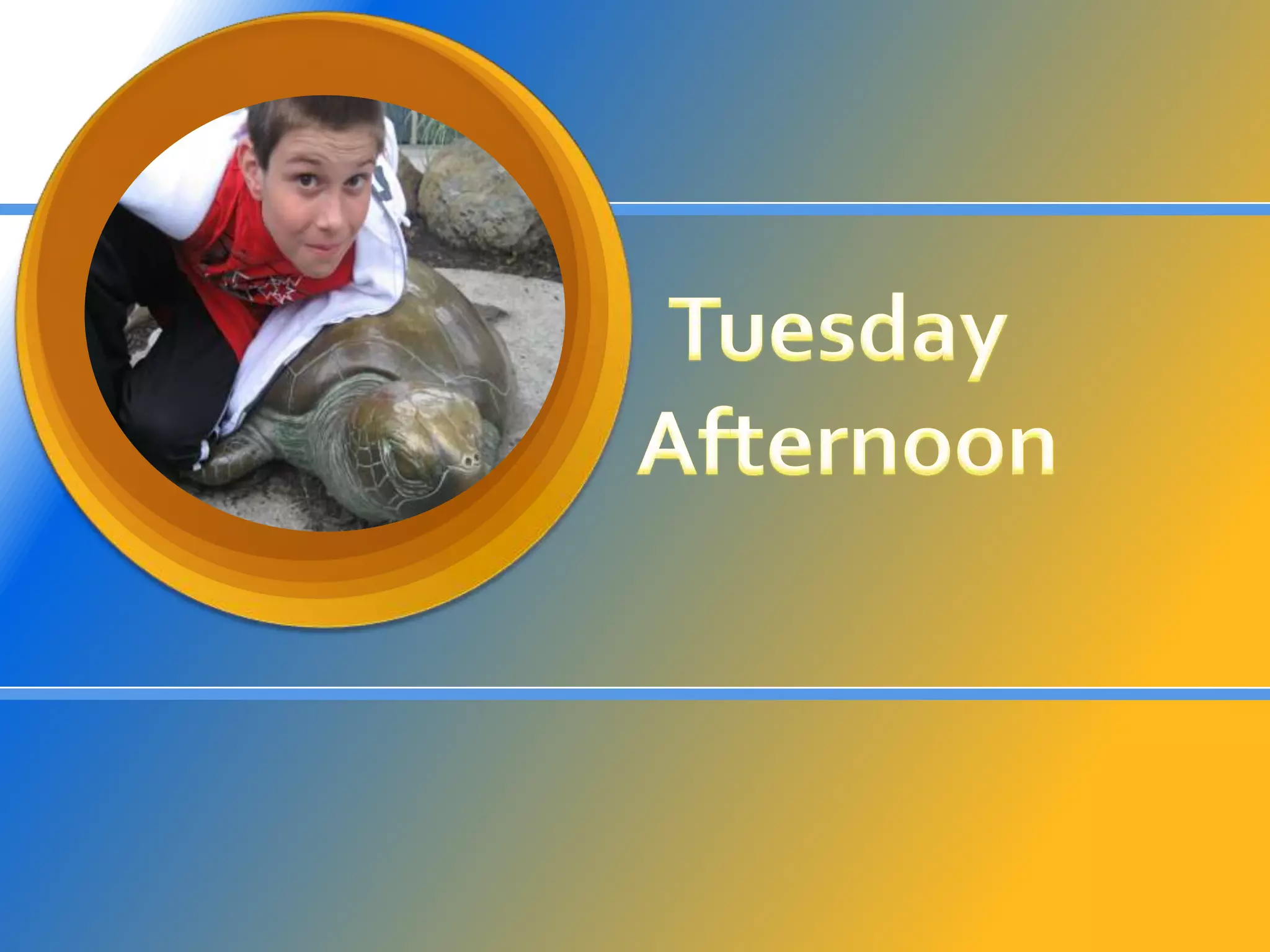 Slideshare Project | PPTX