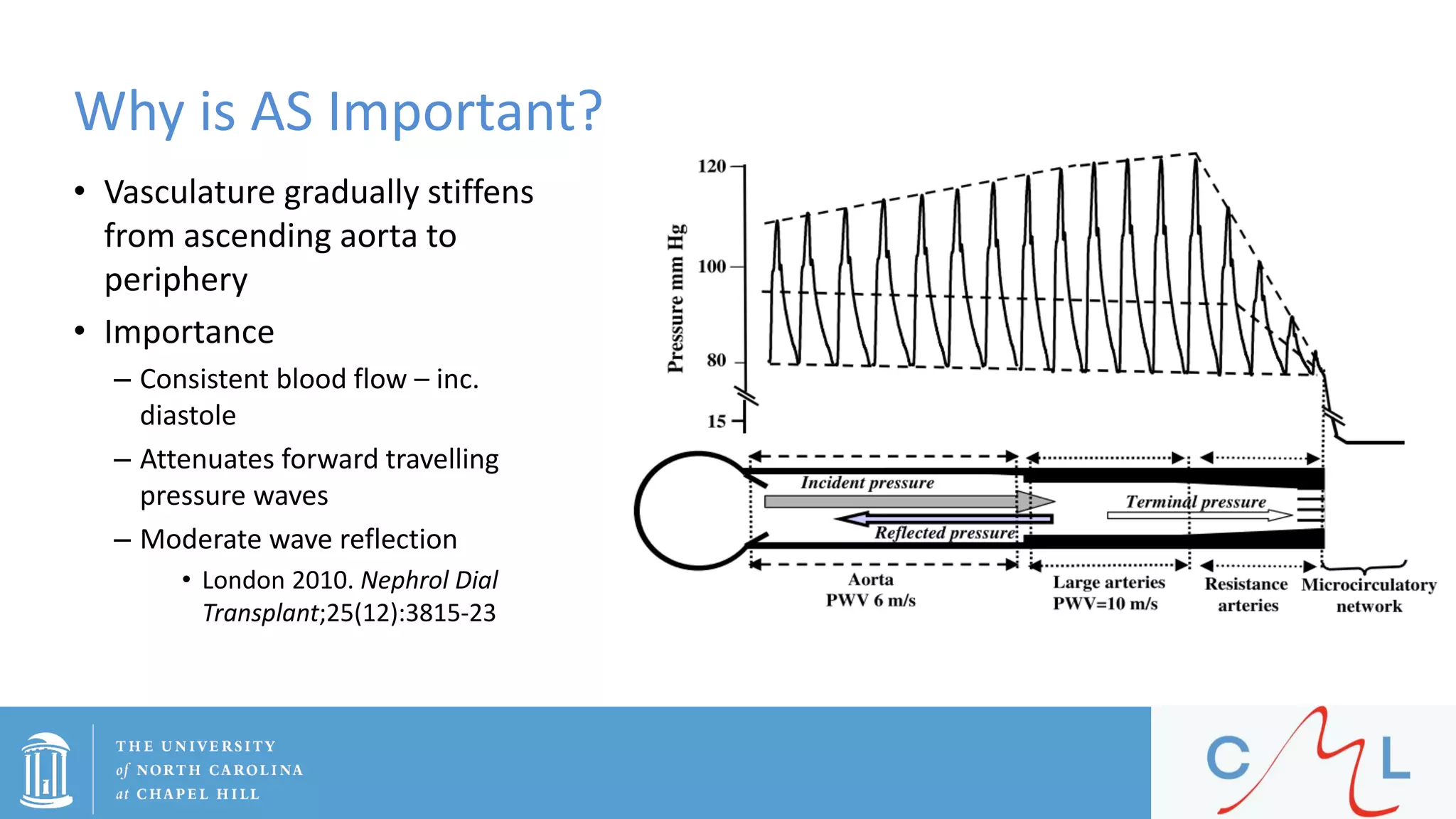 Pulse Wave Velocity: Theory, Applications, Methods, and Future Directions | PDF