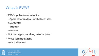 Pulse Wave Velocity: Theory, Applications, Methods, and Future ...