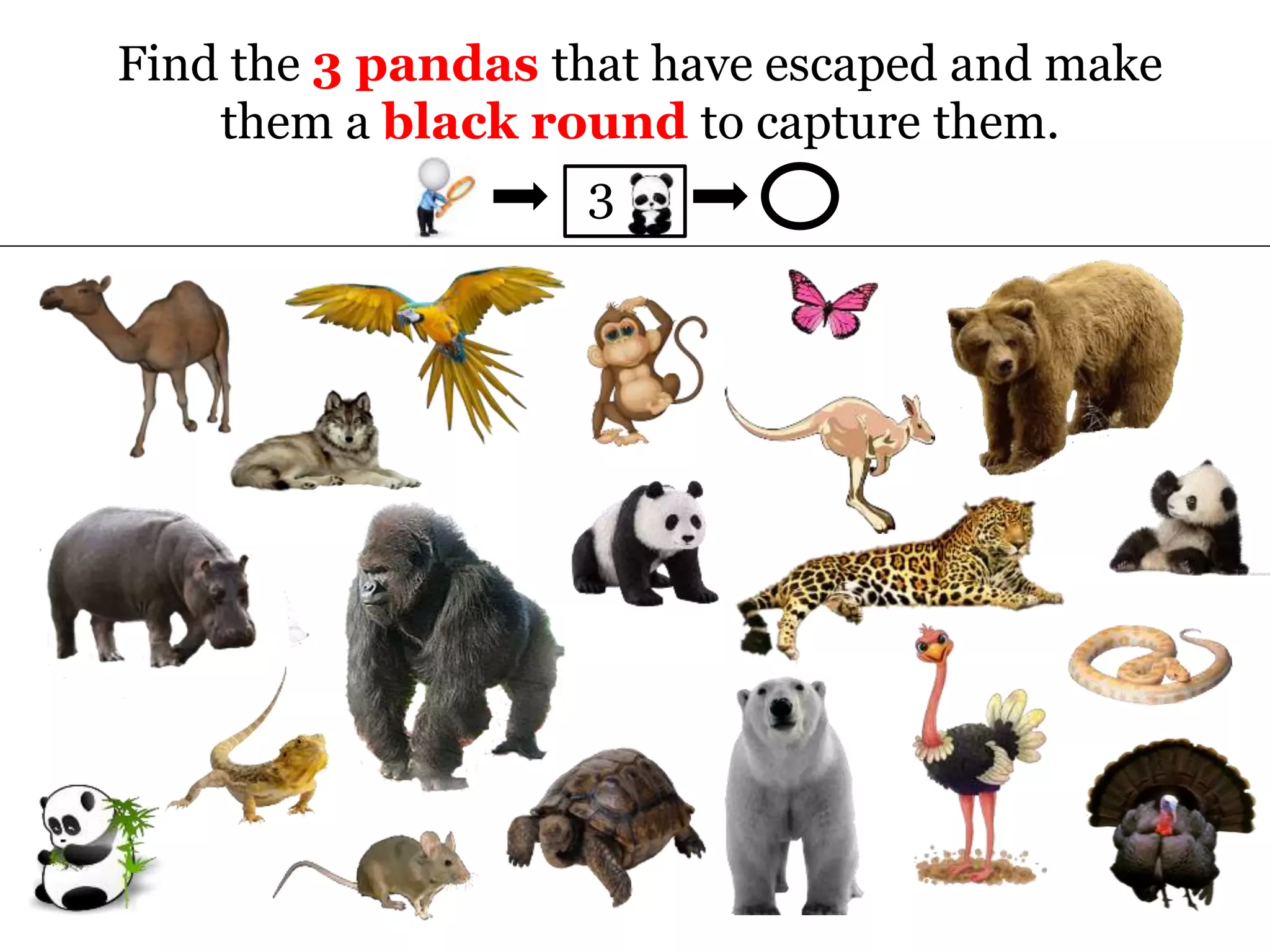 Which animals have escaped from the zoo? (¿Qué animales se han escapado ...