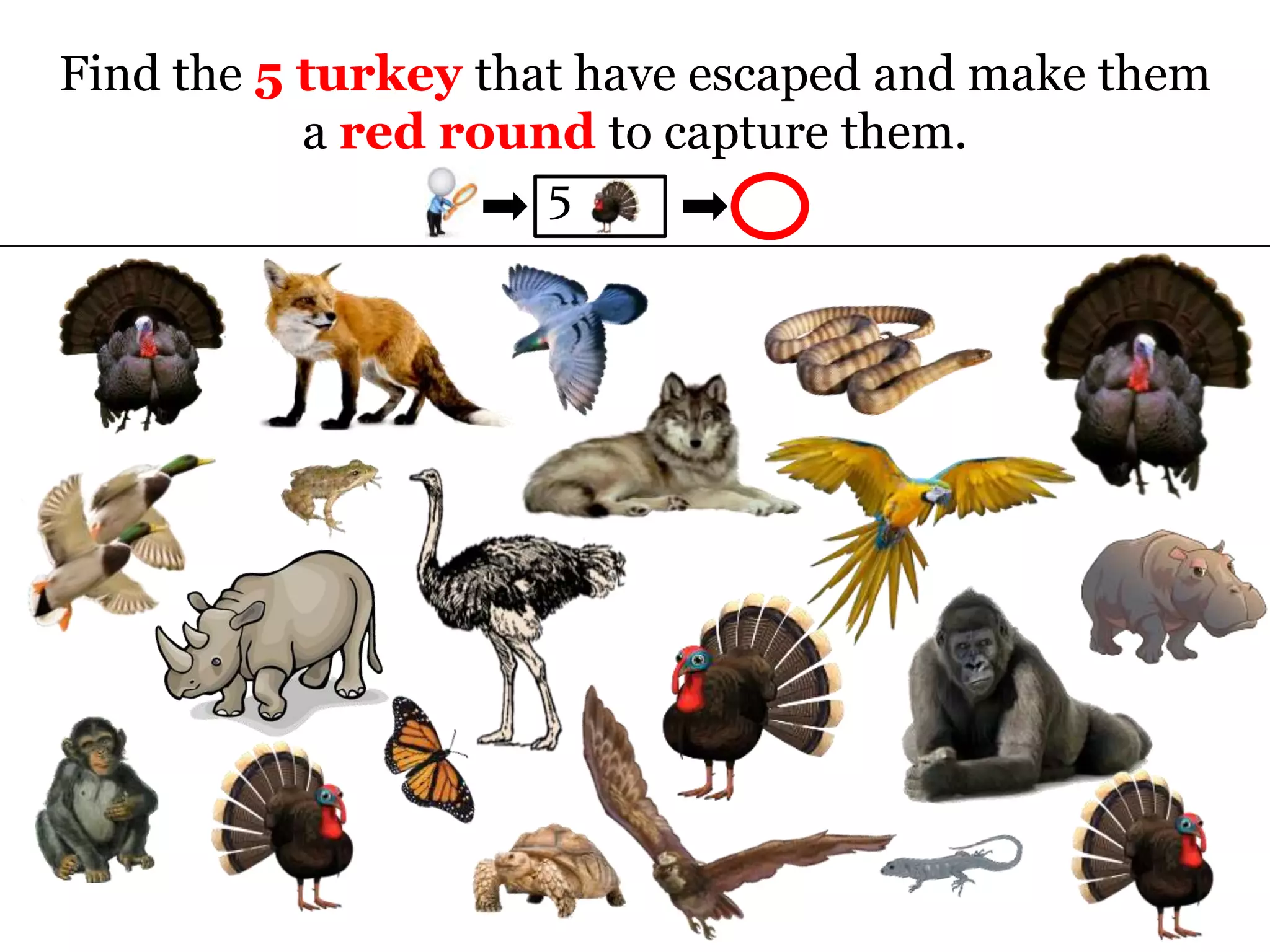 Which animals have escaped from the zoo? (¿Qué animales se han escapado ...