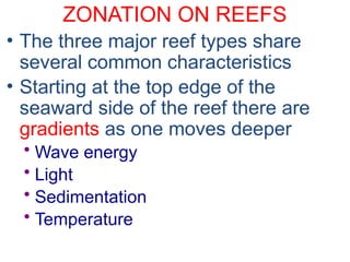 Coral Reef Zonation for Slide Share.pptx