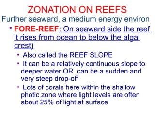 Coral Reef Zonation for Slide Share.pptx