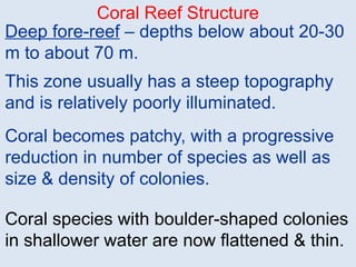 Coral Reef Zonation for Slide Share.pptx