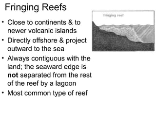 Coral Reef Zonation for Slide Share.pptx