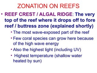 Coral Reef Zonation for Slide Share.pptx