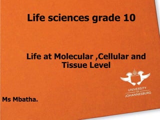 Life sciences grade 10 | PPTX