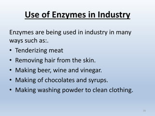 Life sciences grade 10 | PPTX