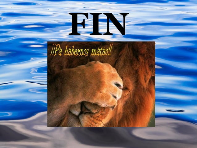 Slideshare Scribd E Issu | PPT